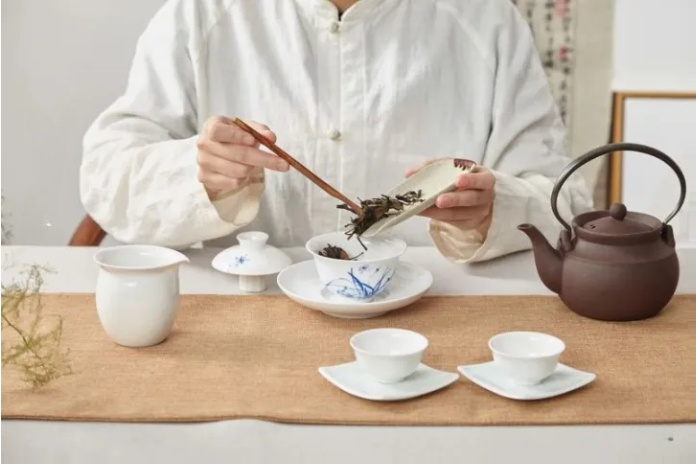 10 different coasters, all in one glance!